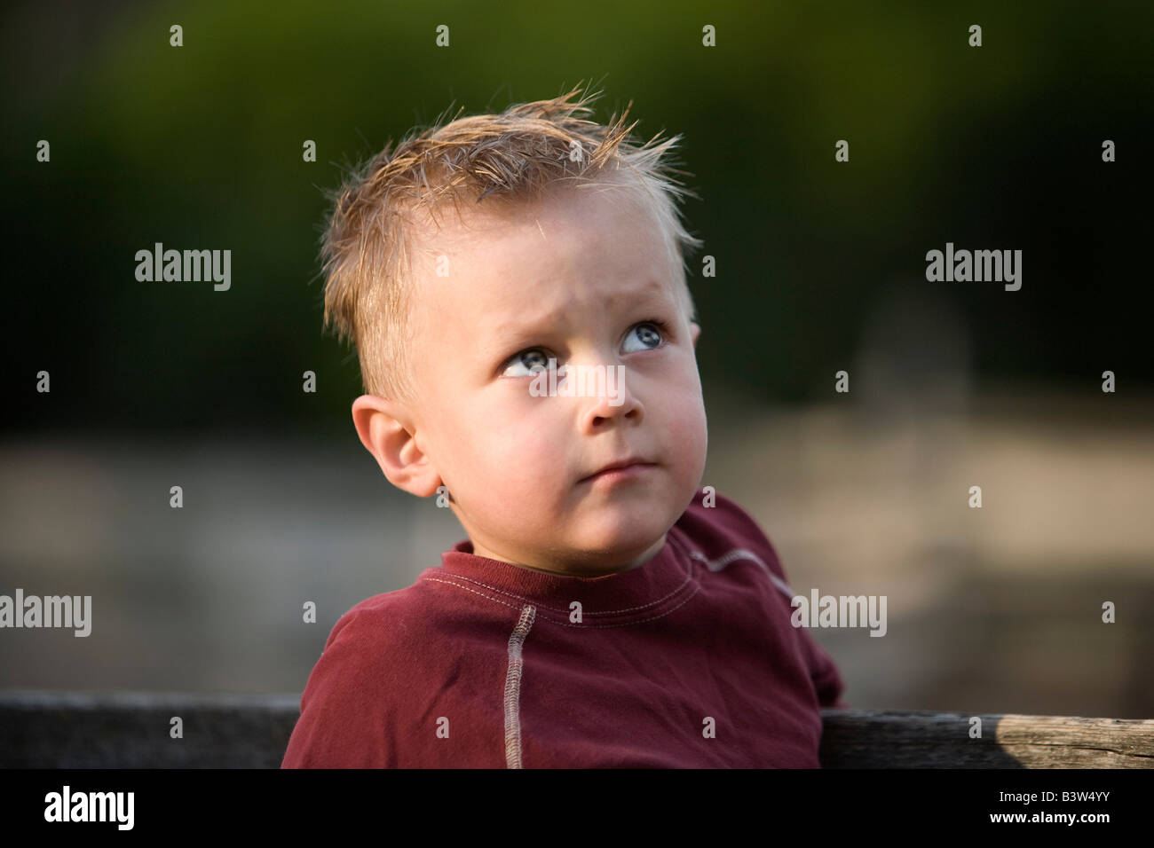 A young boy's inquisitive eyes Stock Photo - Alamy