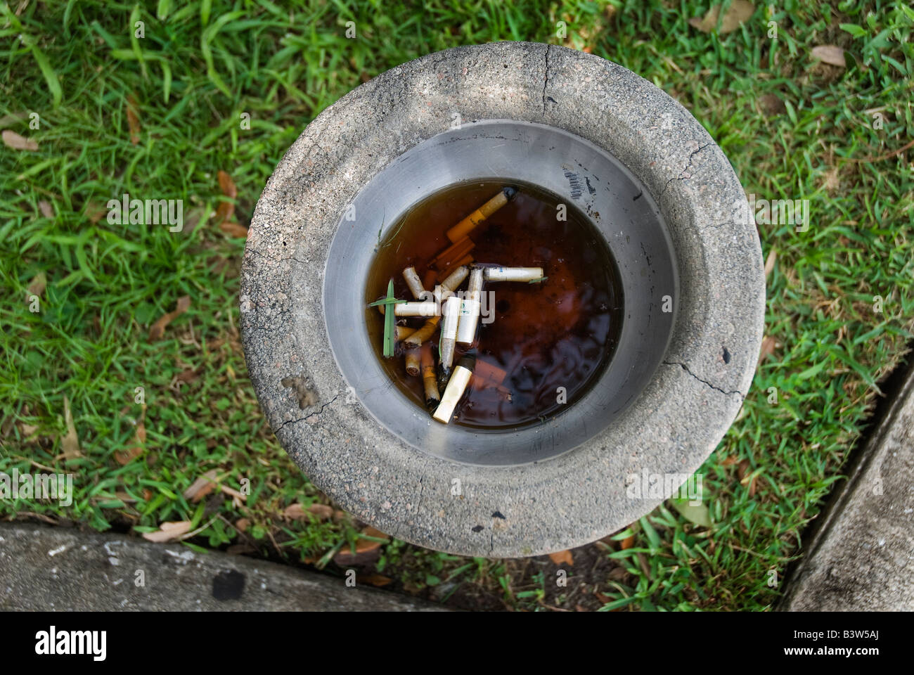 discarded cigarette butts in water filled receptacle Stock Photo - Alamy