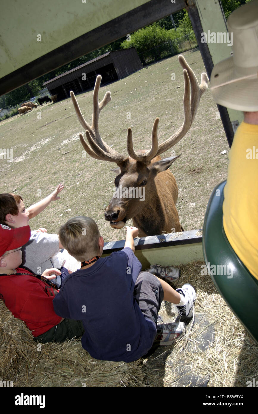 Children reach hi-res stock photography and images - Alamy
