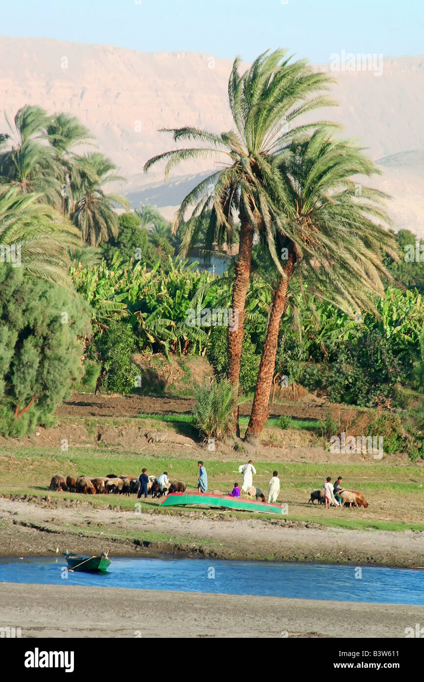 Egypt: Nile landscape Stock Photo - Alamy