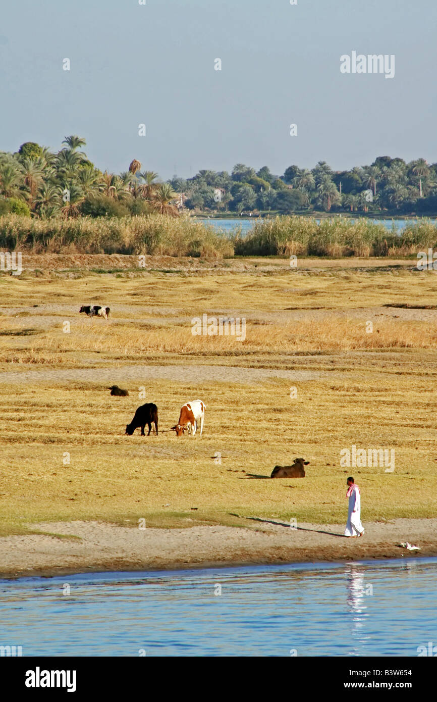 Egypt: Nile landscape Stock Photo - Alamy