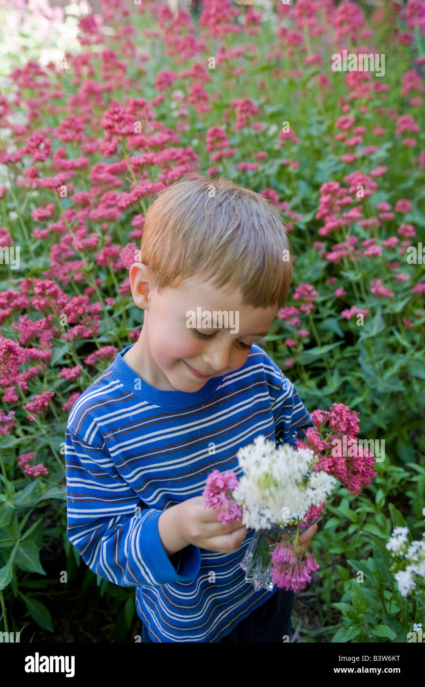 A young boy in a field of flowers picking flowers and putting them in a ...