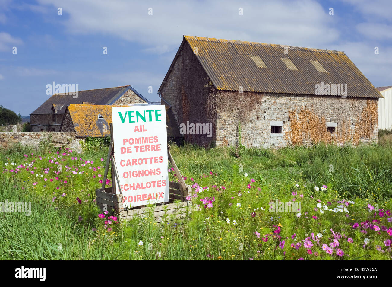 FARM MARKET FRESH PRODUCE SIGN AND OLD BARNS WITH WILD COSMOS FLOWERS ...