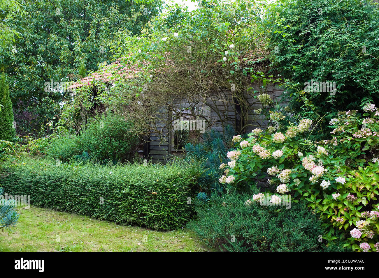 PR OLD BARN BURIED UNDER VEGETATION IN GARDEN BRITTANY FRANCE Stock ...