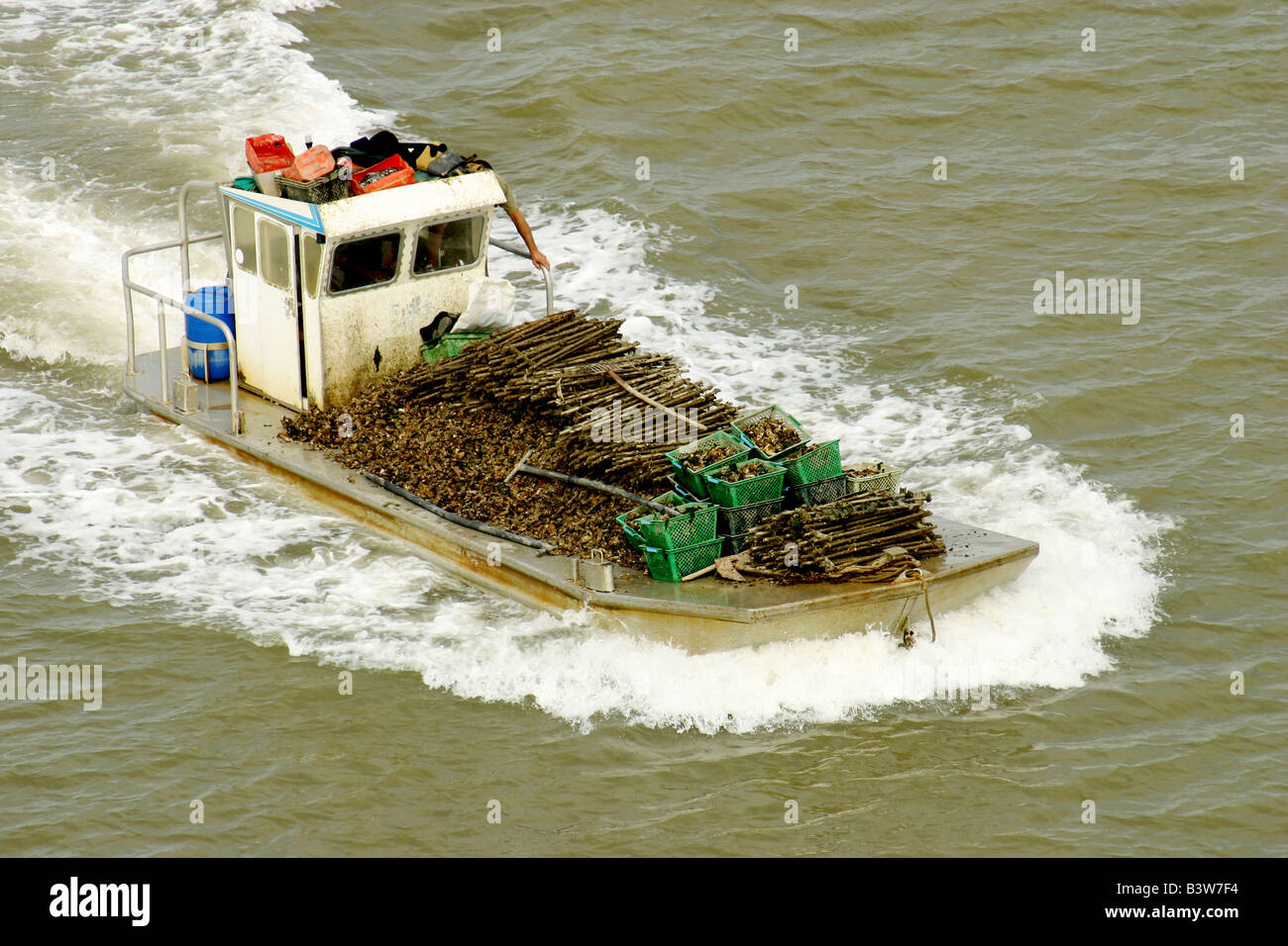 Oyster farming oyster barge hi-res stock photography and images - Alamy