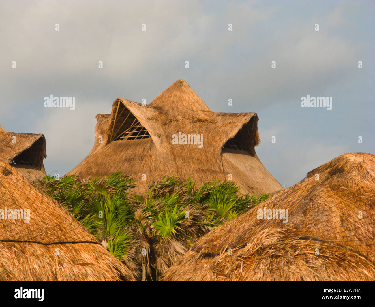 Thatched roof in Mexico Stock Photo - Alamy