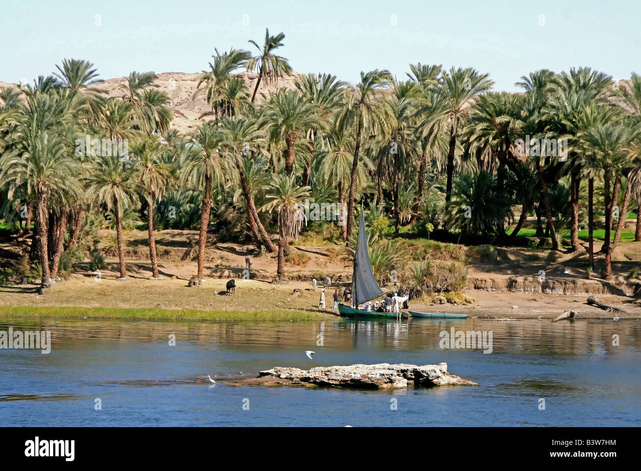 Egypt: Nile landscape Stock Photo - Alamy