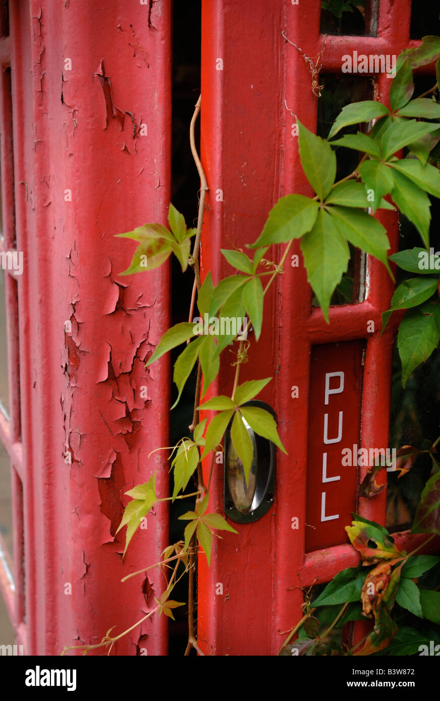 AN OLD STYLE OVERGROWN BRITISH TELEPHONE BOX WITH PEELING RED PAINT UK ...