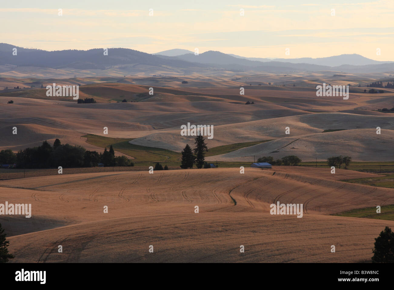 The rolling wheatfields and farmland seem to go on forever as the sun ...