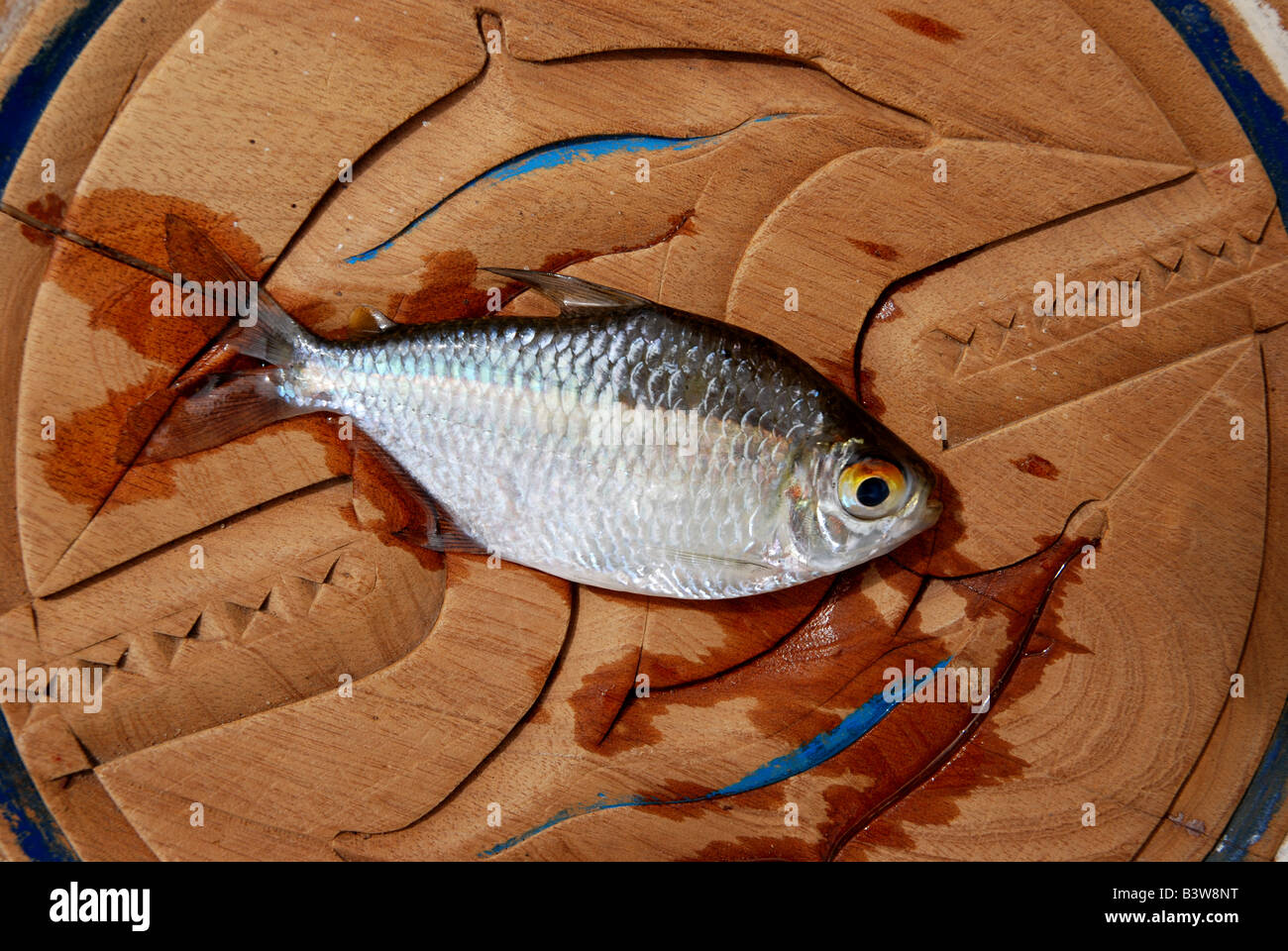 dead fish on a suiname stool sculpted saramaka Surinam Stock Photo - Alamy