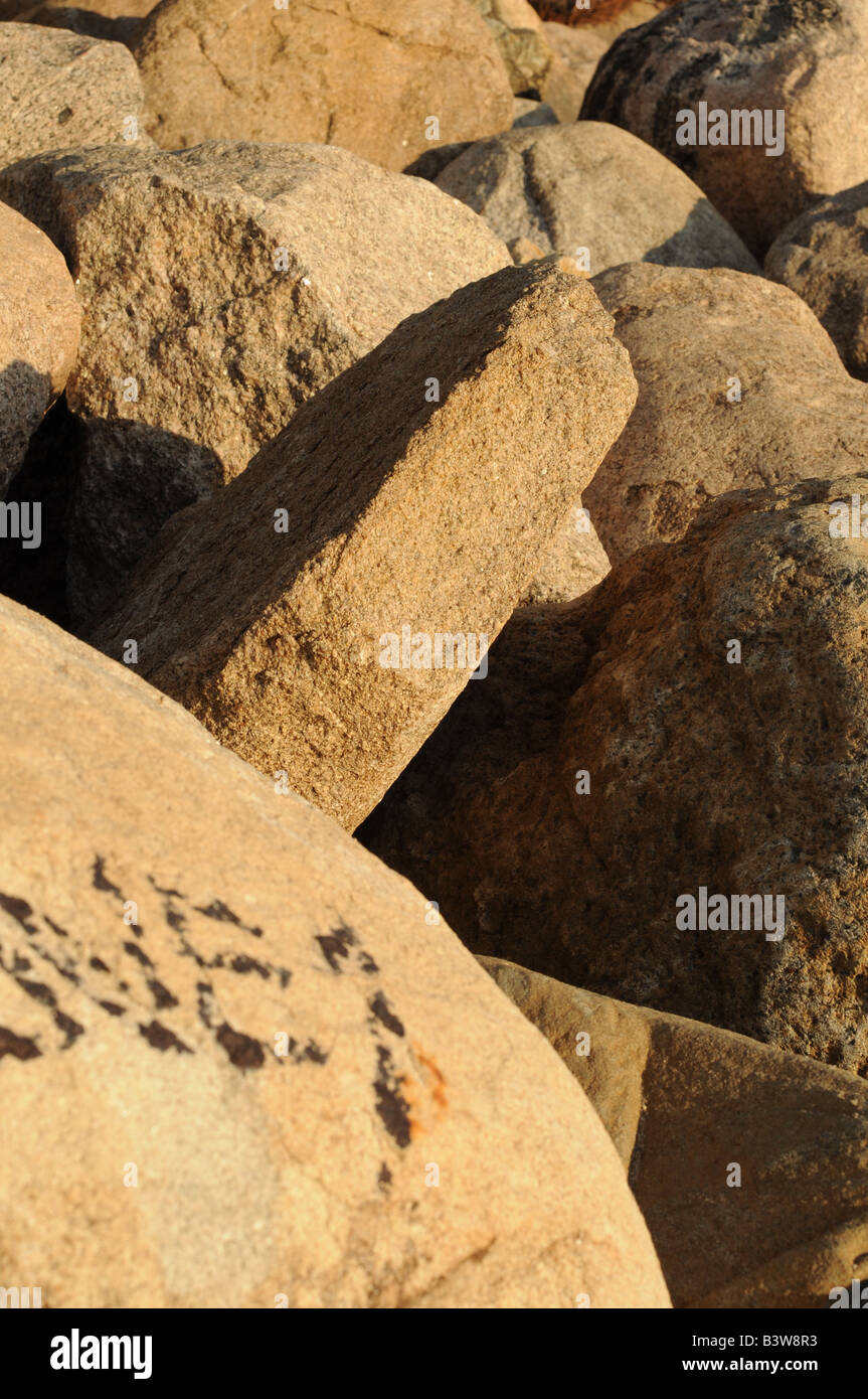 Rock habitats hi-res stock photography and images - Alamy