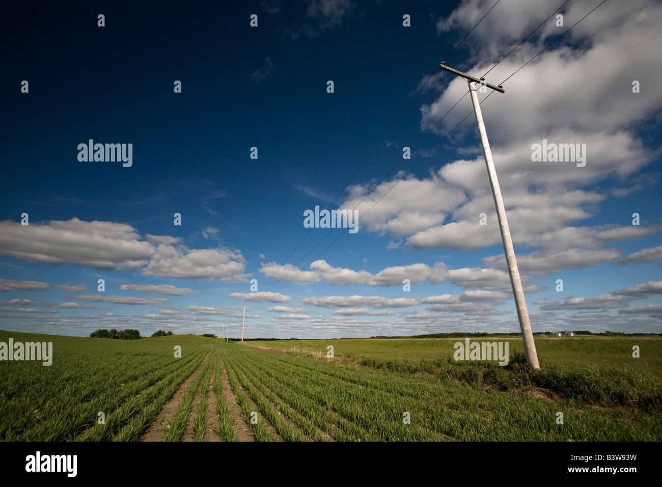 Power lines in a prairie field Stock Photo - Alamy