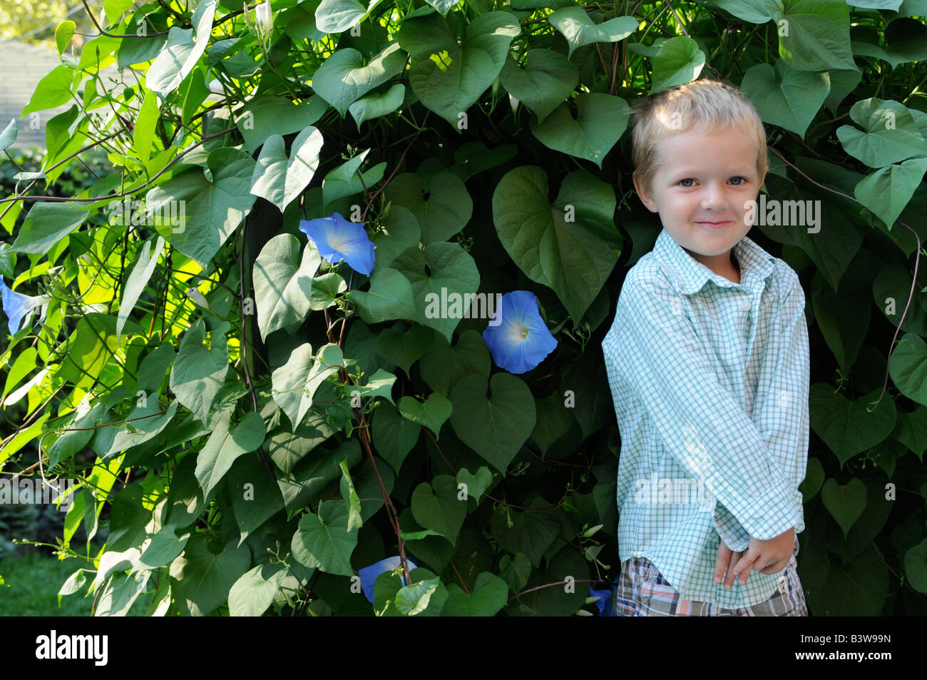 happy boy big smile, life is good Stock Photo - Alamy