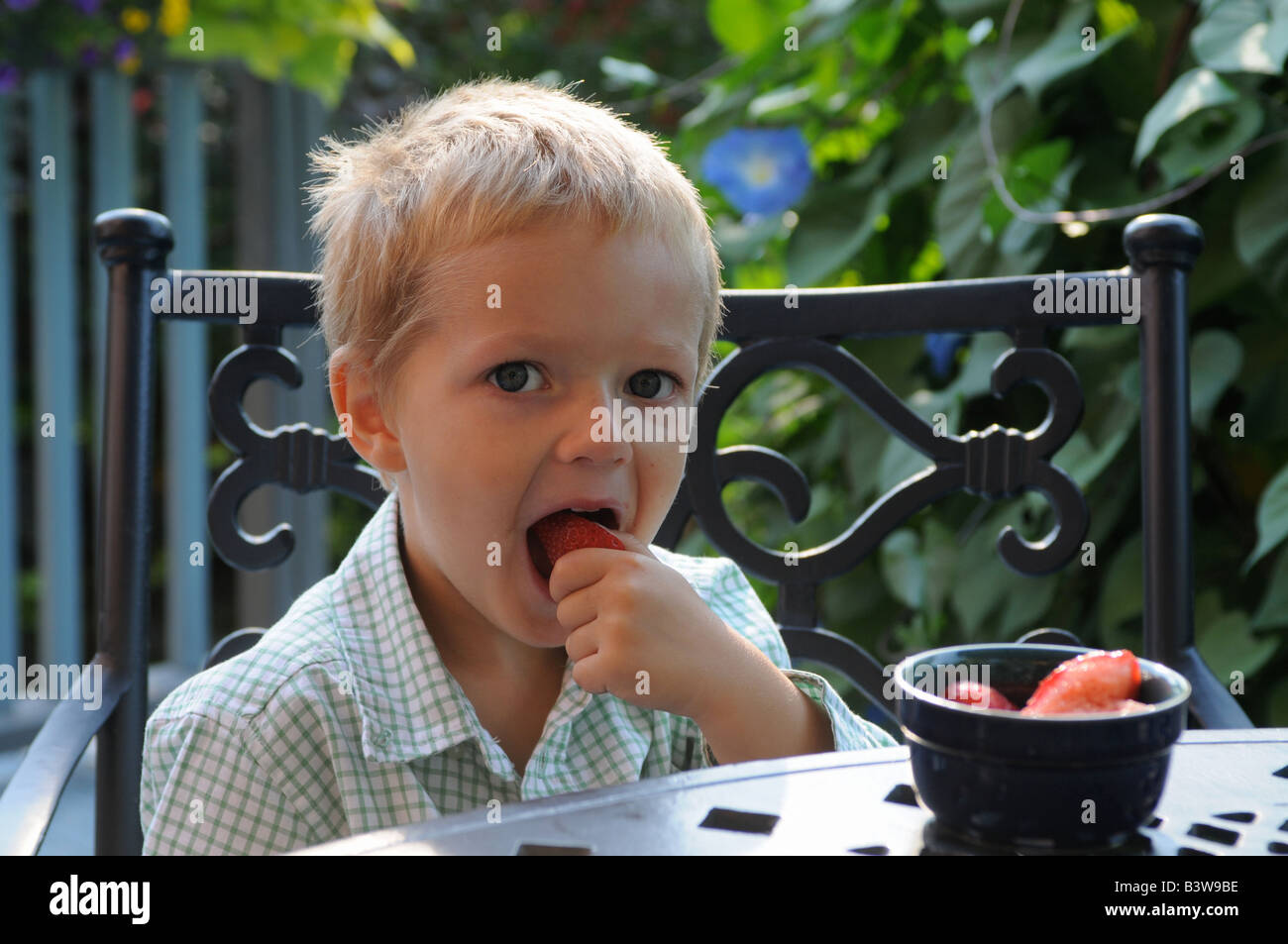 Canadian handsome boy hi-res stock photography and images - Alamy