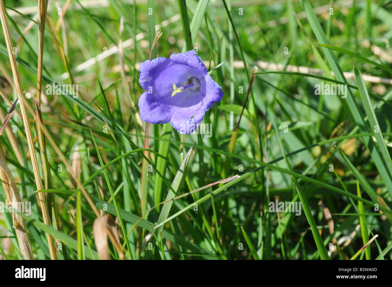 Les Houches France Stock Photo - Alamy
