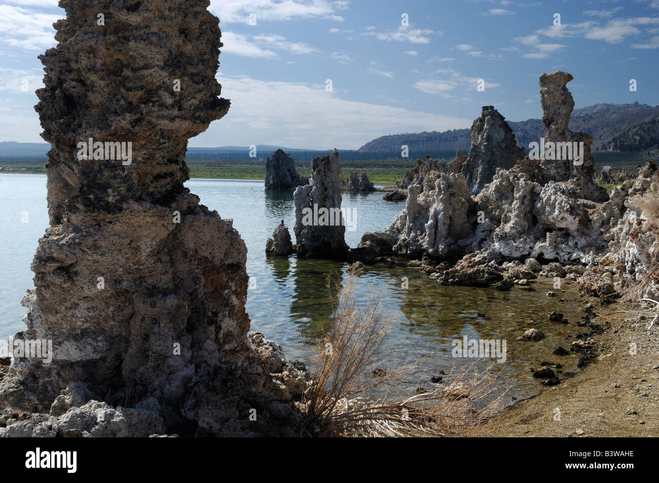 General landscape of Mono Lake Stock Photo - Alamy