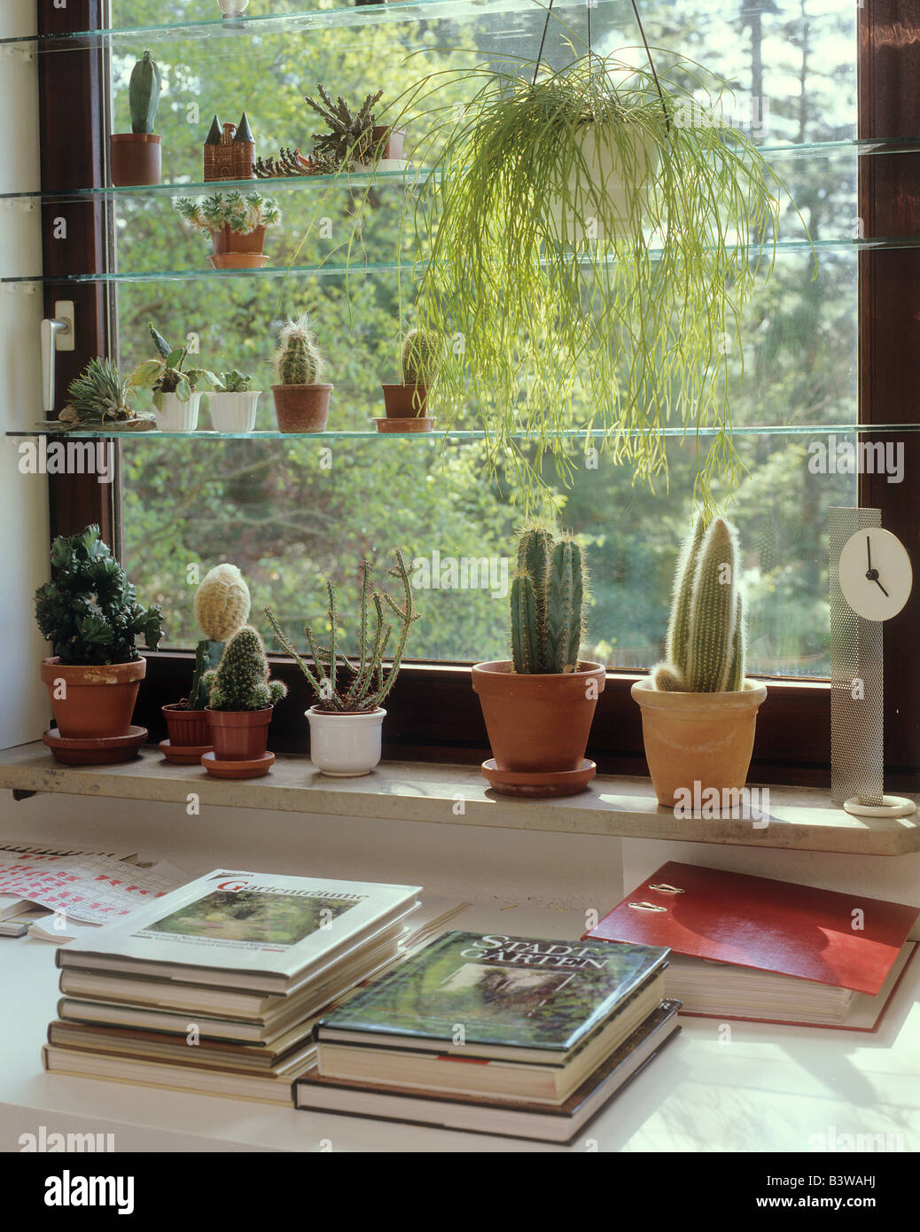 Cacti windowsill hi-res stock photography and images - Alamy