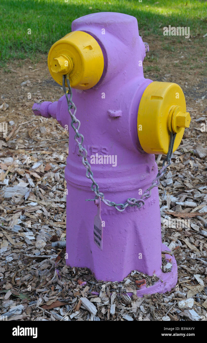 Colorful fire hydrant hi-res stock photography and images - Alamy