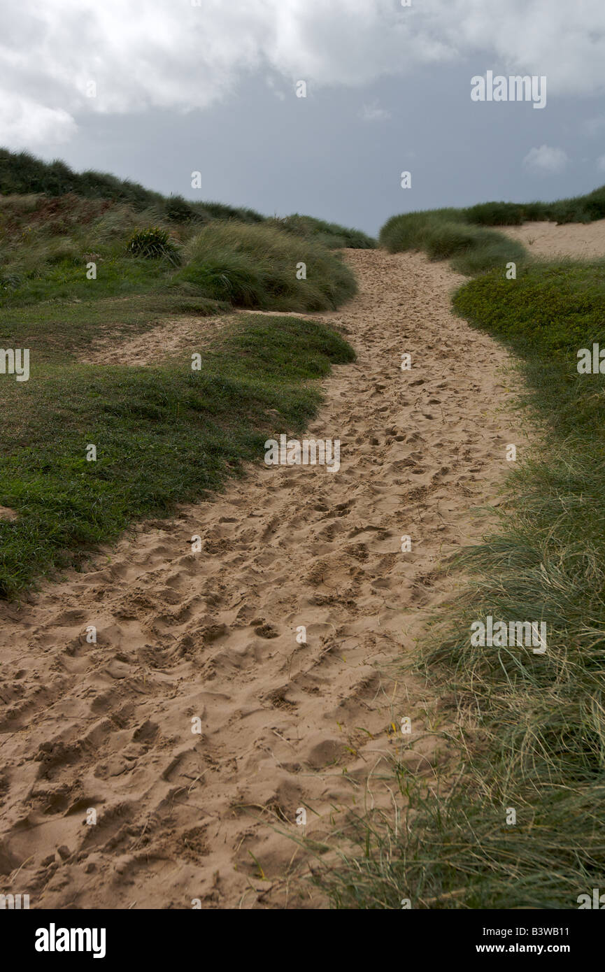 Path leading through a sand dune Stock Photo - Alamy