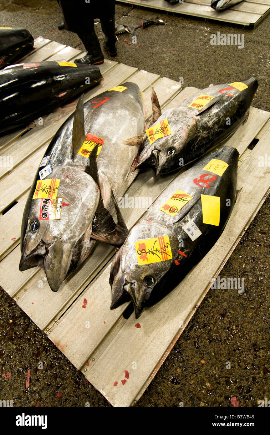 Tsukiji Fish Market Stock Photo - Alamy