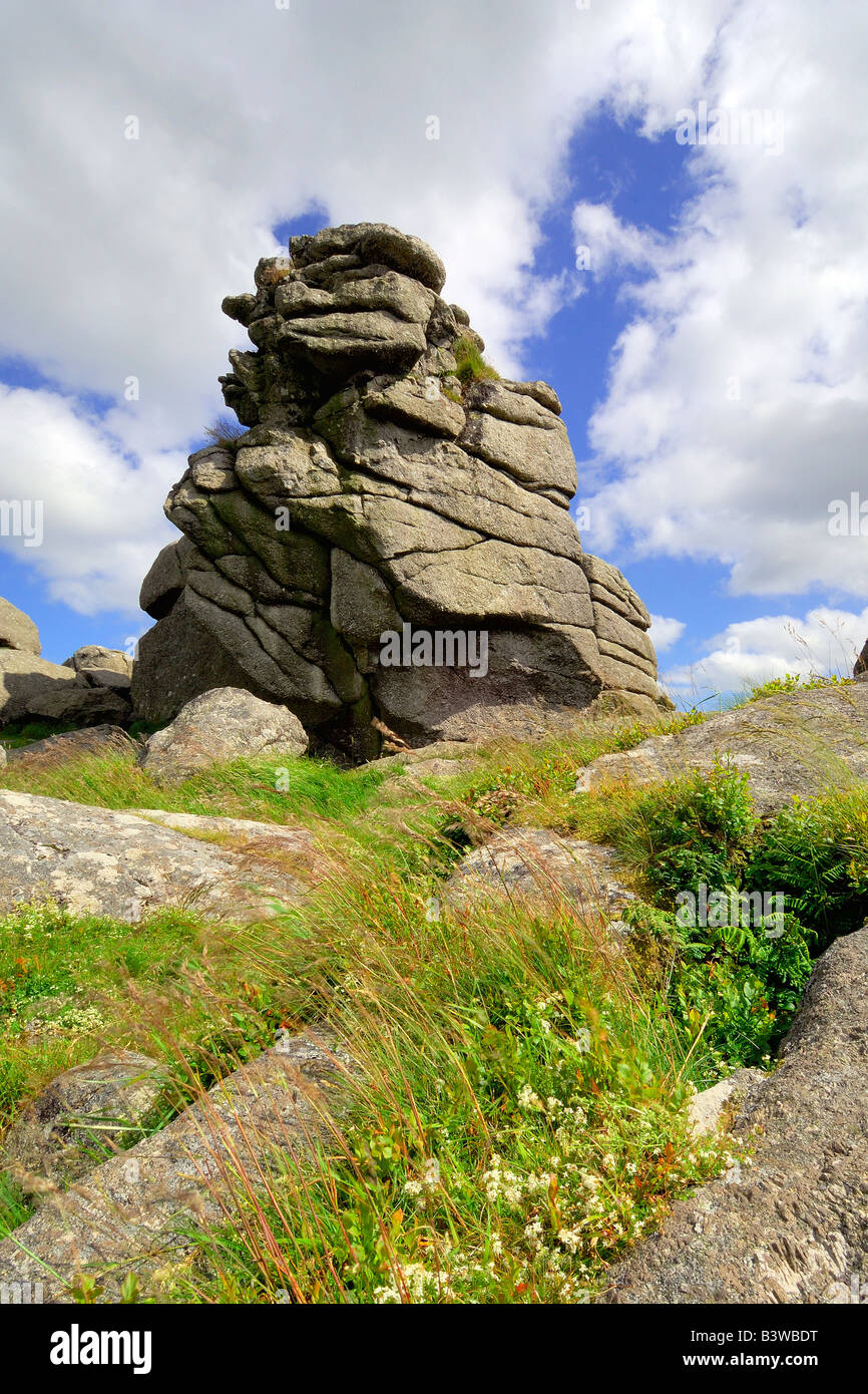 A granite rock stack amongst Bonehill Rocks on Dartmoor with blue sky ...