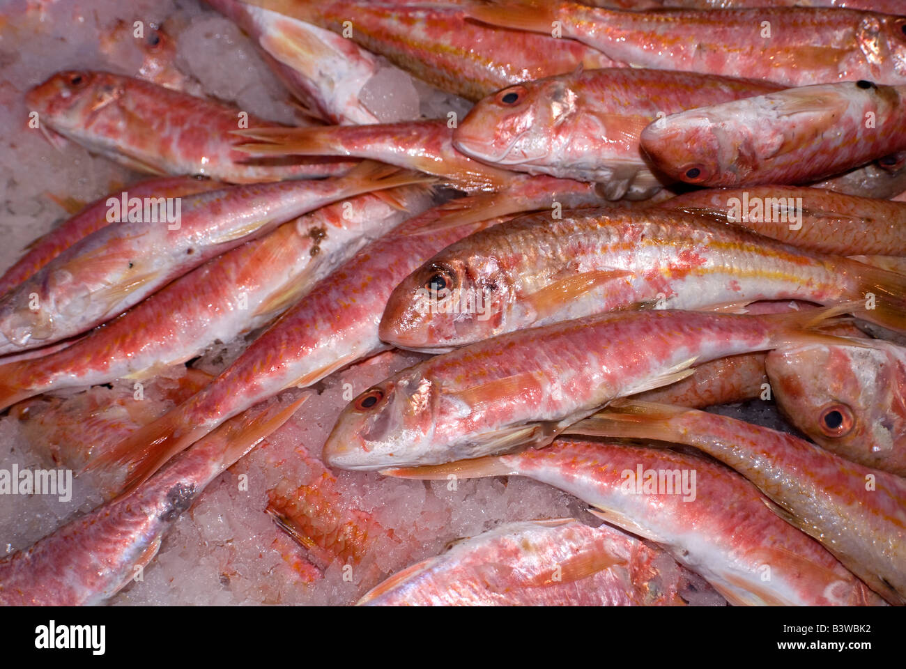 Pink fish hi-res stock photography and images - Alamy