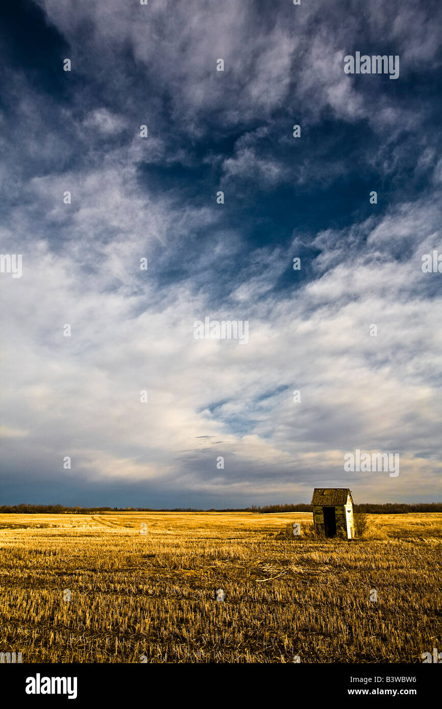 Shack in field Stock Photo - Alamy