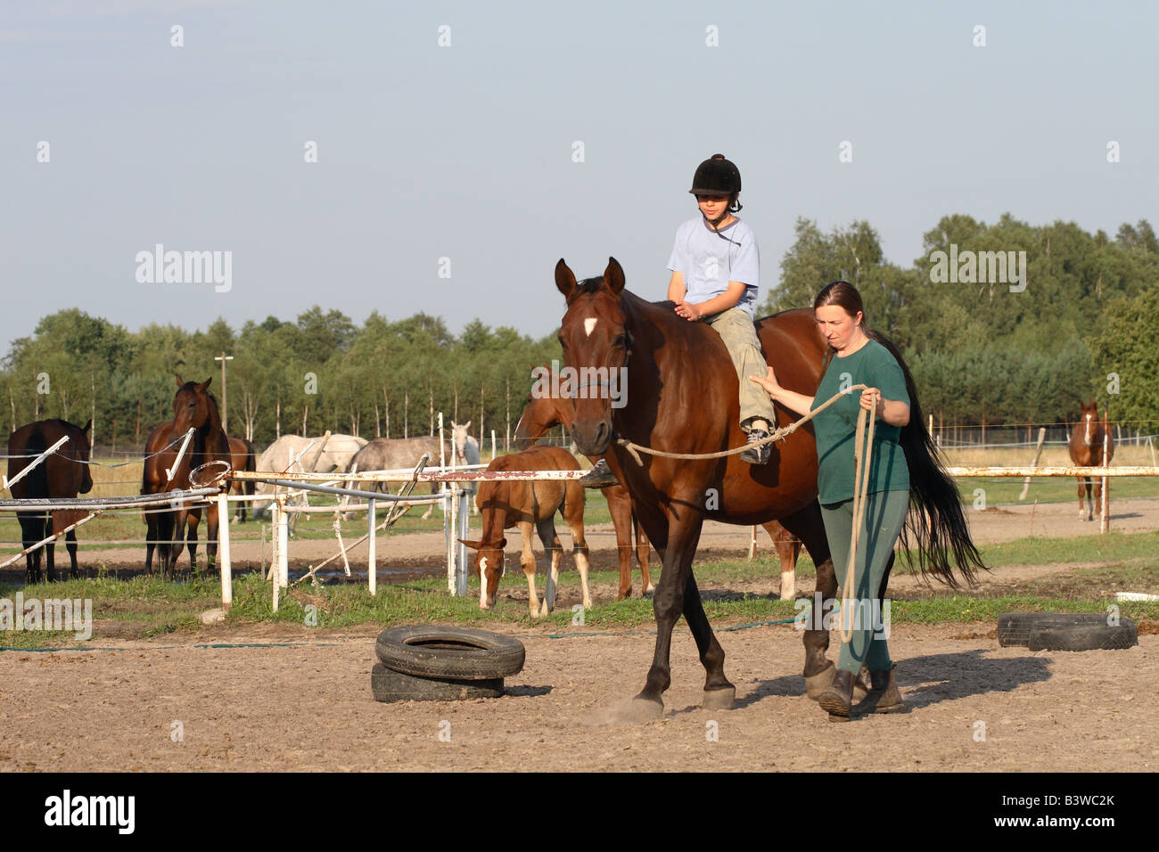 Lesson horse uk hi-res stock photography and images - Alamy