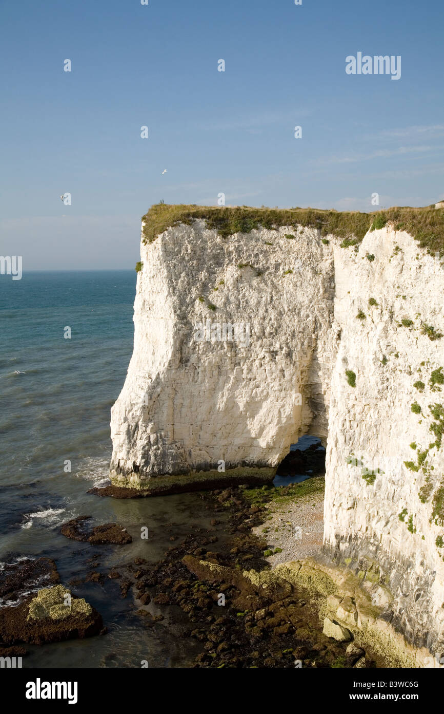 Old Harry Rocks Jurassic Coast Dorset England A UNESCO World Heritage ...