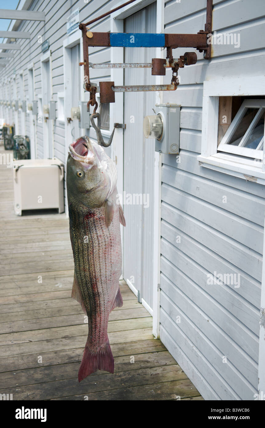 Cuttyhunk hi-res stock photography and images - Alamy