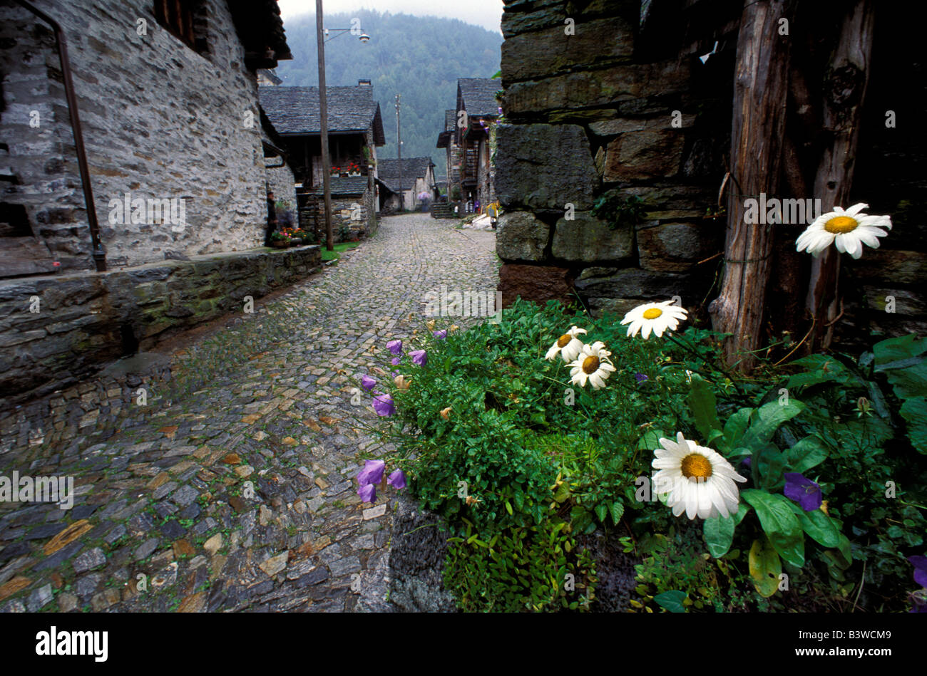 Mountain village val bavona ticino hi-res stock photography and images ...