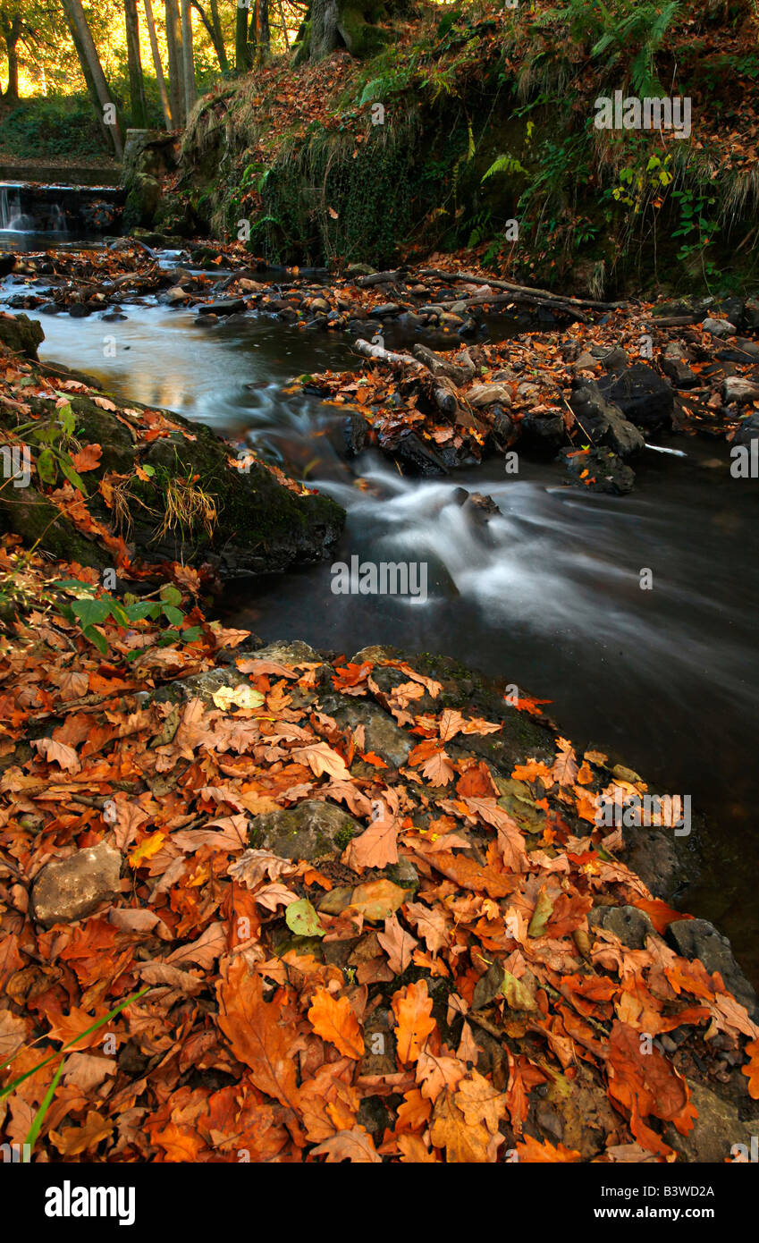 Forest of dean geology hi-res stock photography and images - Alamy