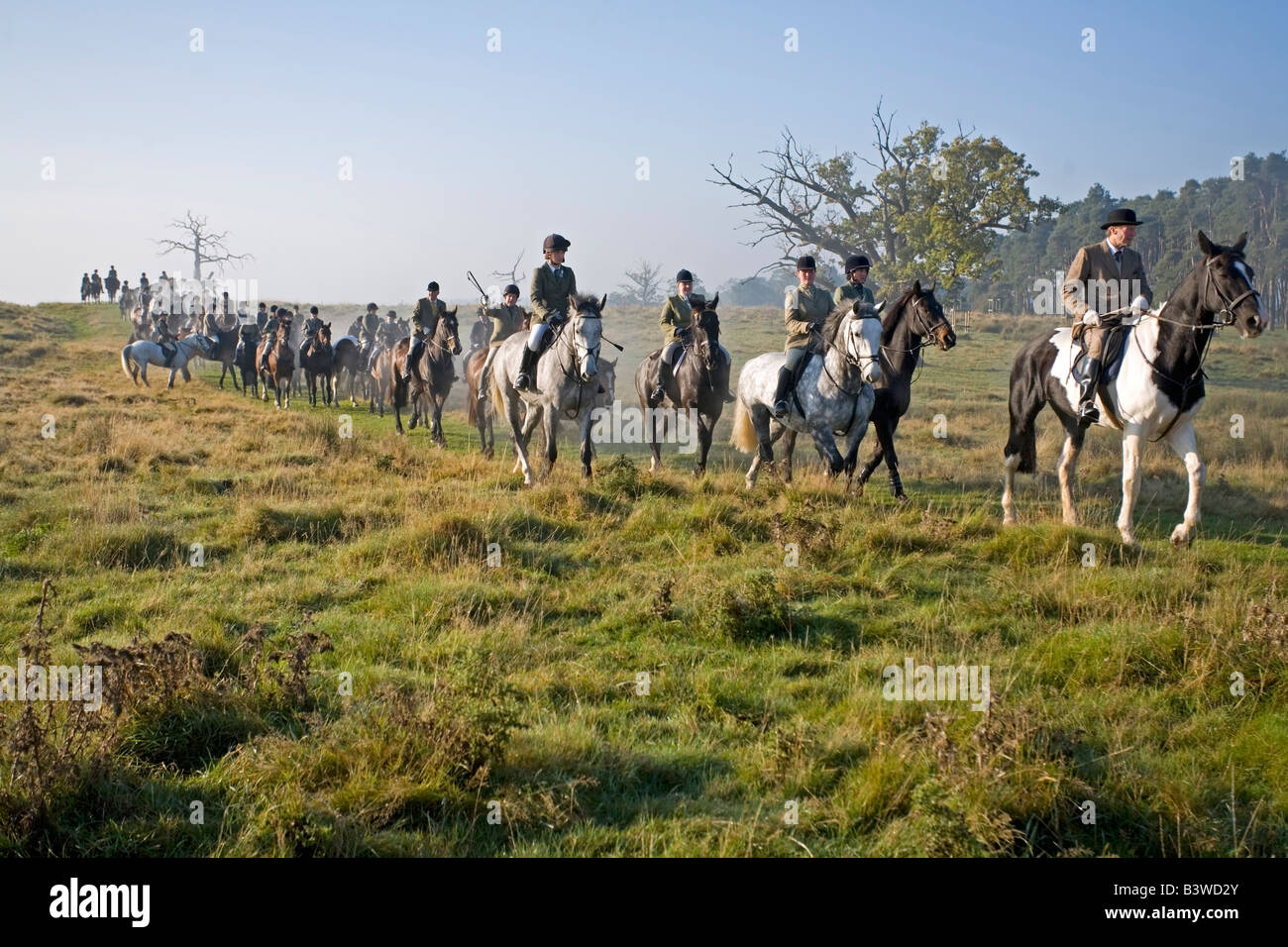 UK, England. Fox Hunters ride their horses across Heathland on country ...