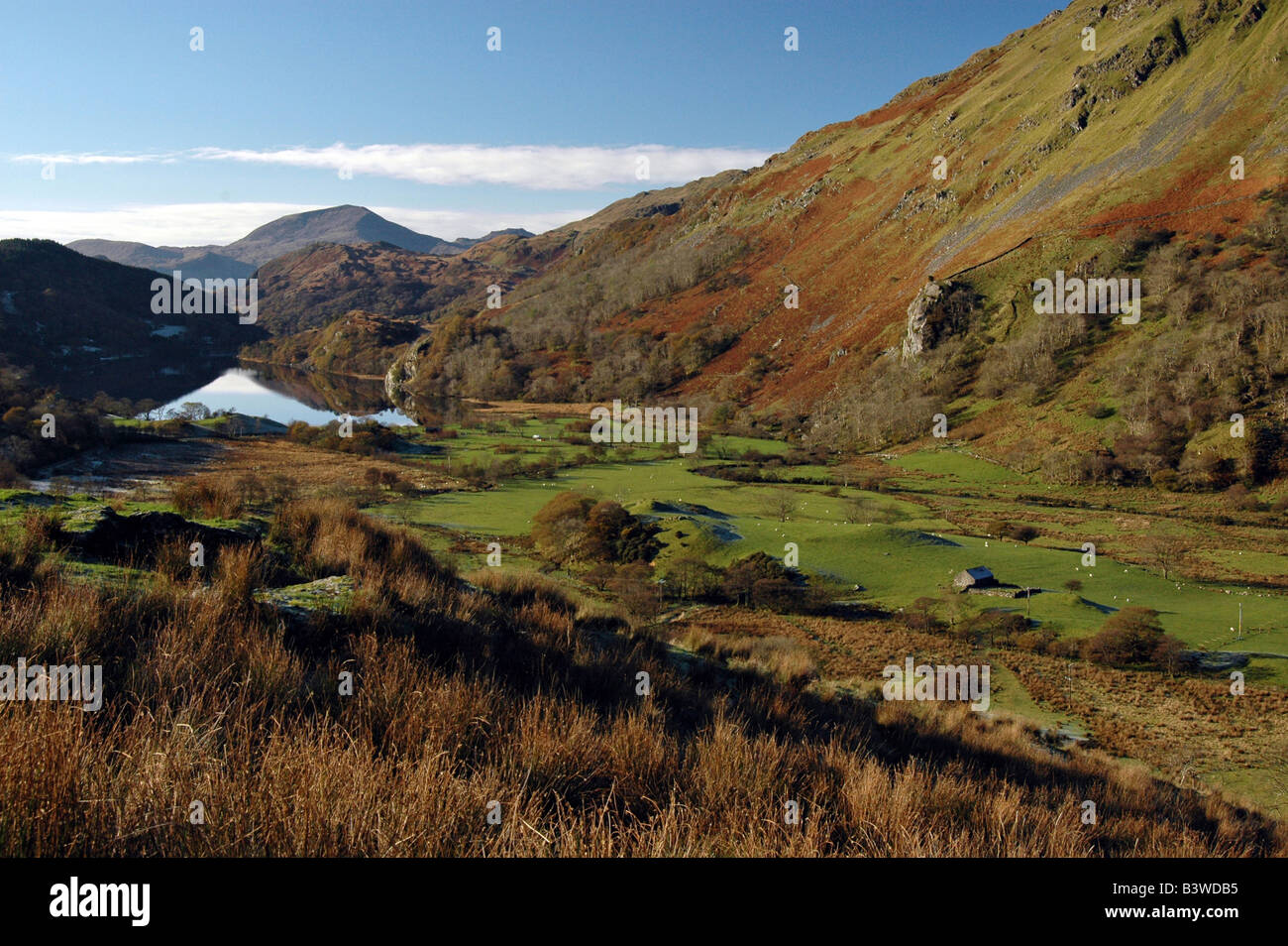 UK - Wales - Peaceful and colorful valley in Gwynedd Stock Photo - Alamy
