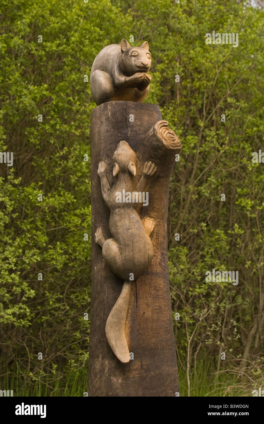 Wood carved squirrel hi-res stock photography and images - Alamy