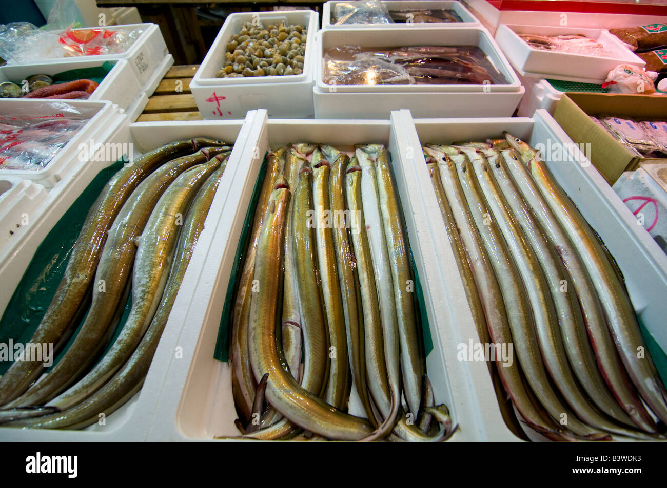 Tsukiji Fish Market Stock Photo - Alamy