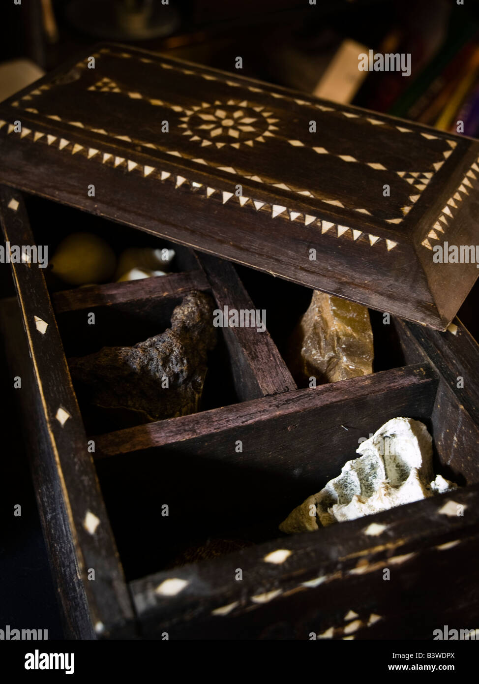 Box shell hi-res stock photography and images - Alamy