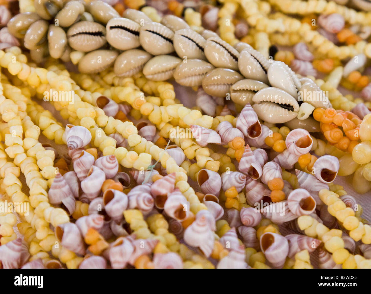 French Polynesia, Marquesas Islands, Nuku Hiva. Shell necklaces on ...