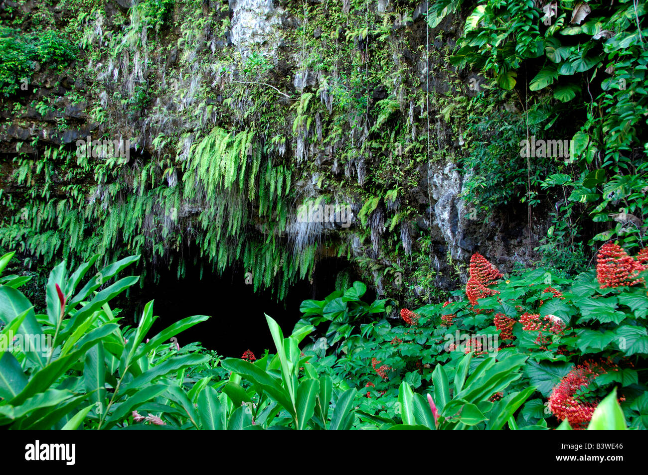 South Pacific, French Polynesia,Tahiti. Maraa Cave (aka Grotte de Maraa ...