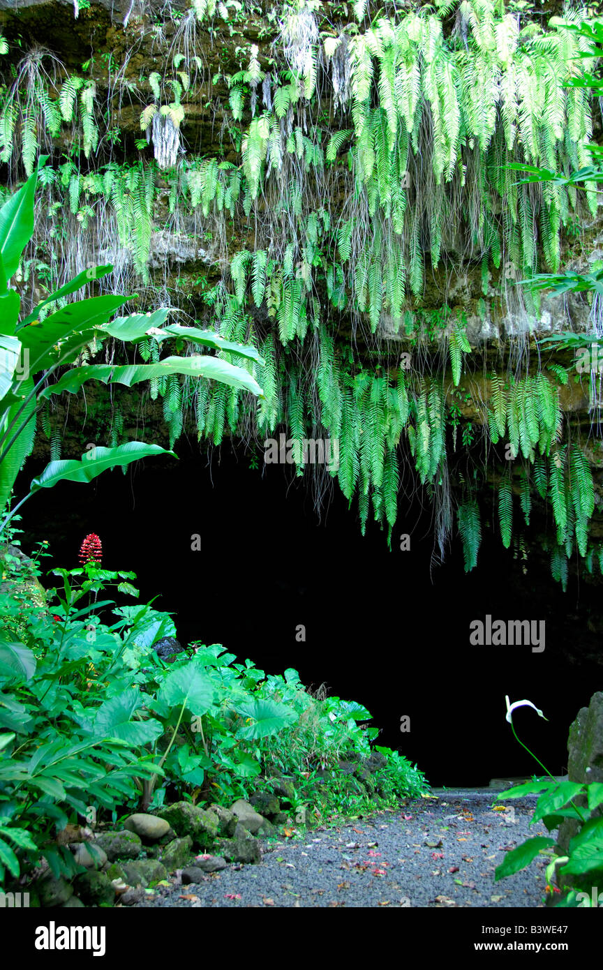 South Pacific, French Polynesia,Tahiti. Maraa Cave (aka Grotte de Maraa ...