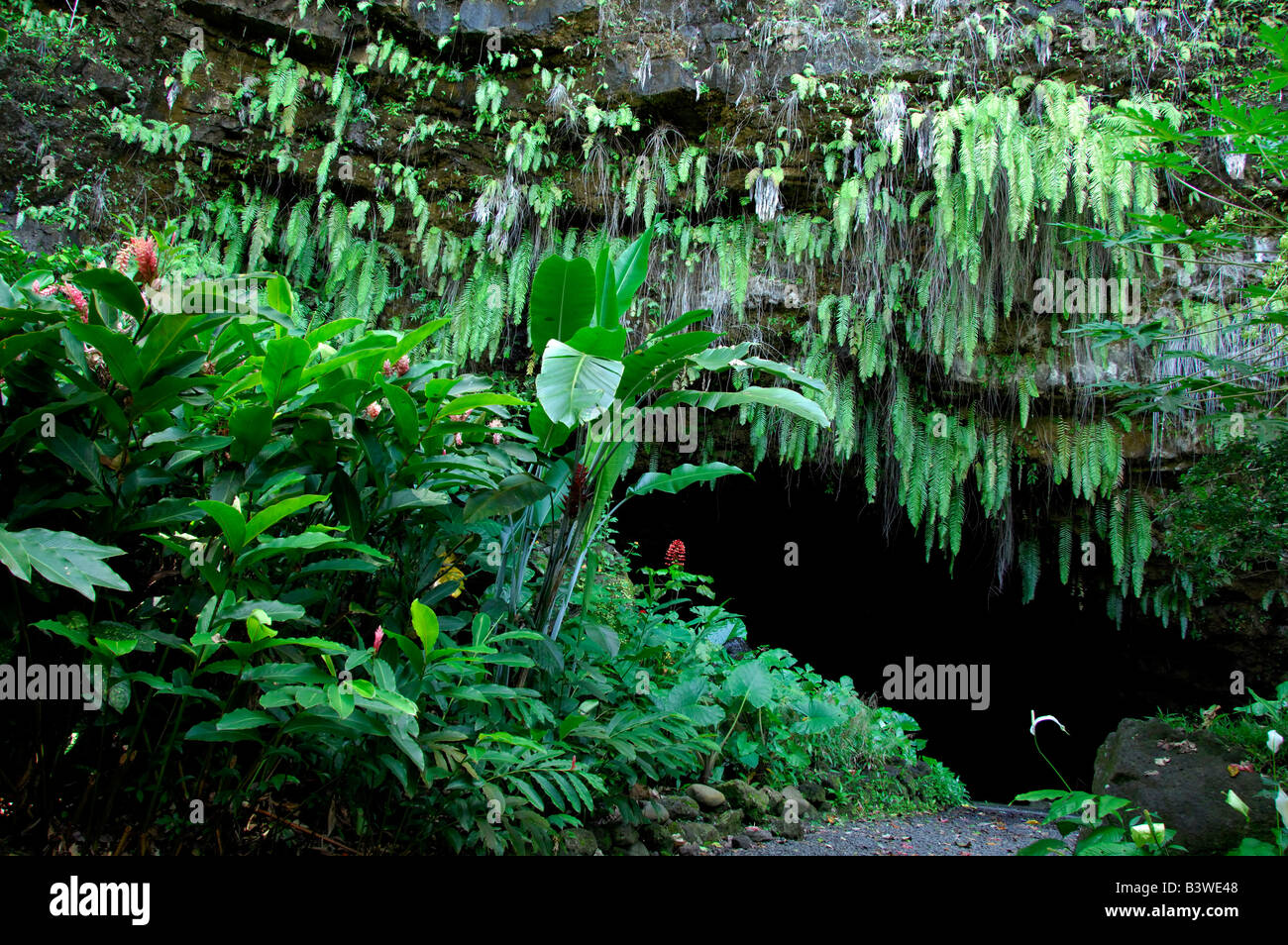 South Pacific, French Polynesia,Tahiti. Maraa Cave (aka Grotte de Maraa ...