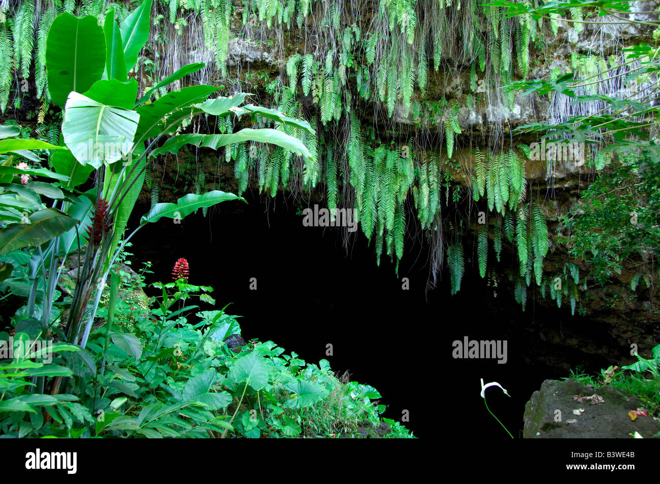 South Pacific, French Polynesia,Tahiti. Maraa Cave (aka Grotte de Maraa ...