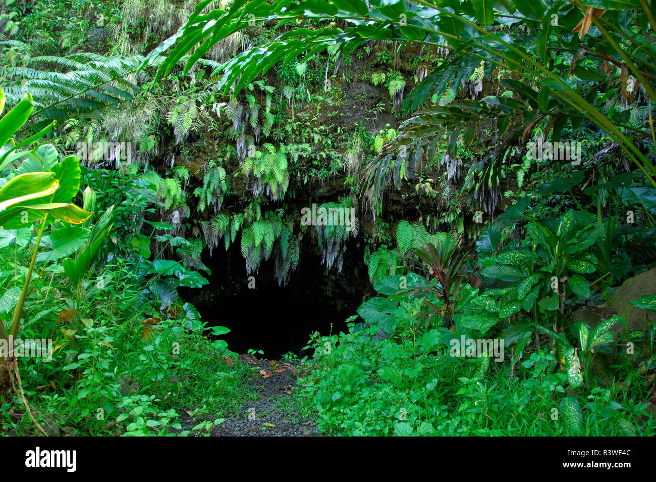 South Pacific, French Polynesia,Tahiti. Maraa Cave (aka Grotte de Maraa ...