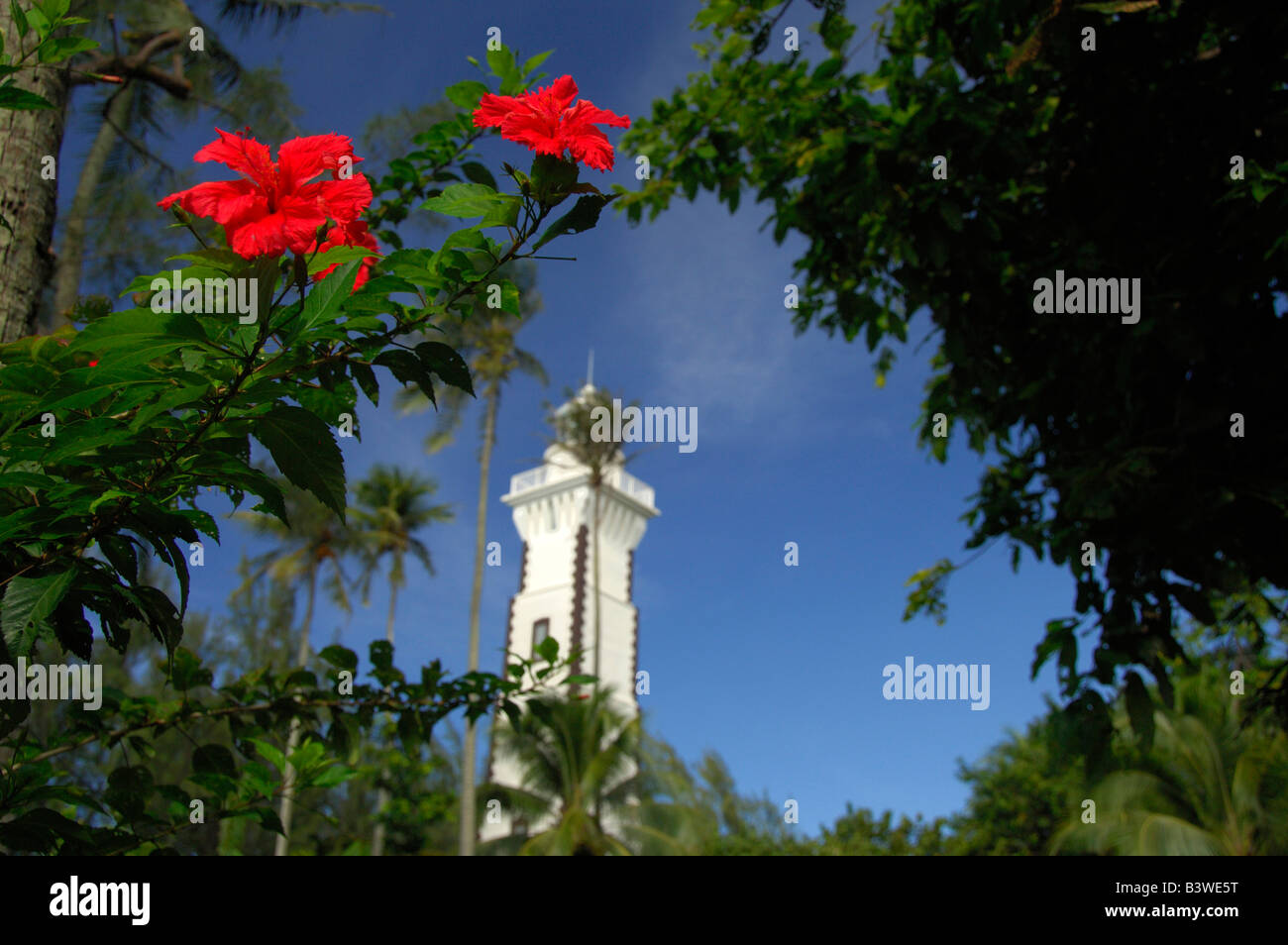 South Pacific, French Polynesia,Tahiti. Hibiscus in front of Venus ...