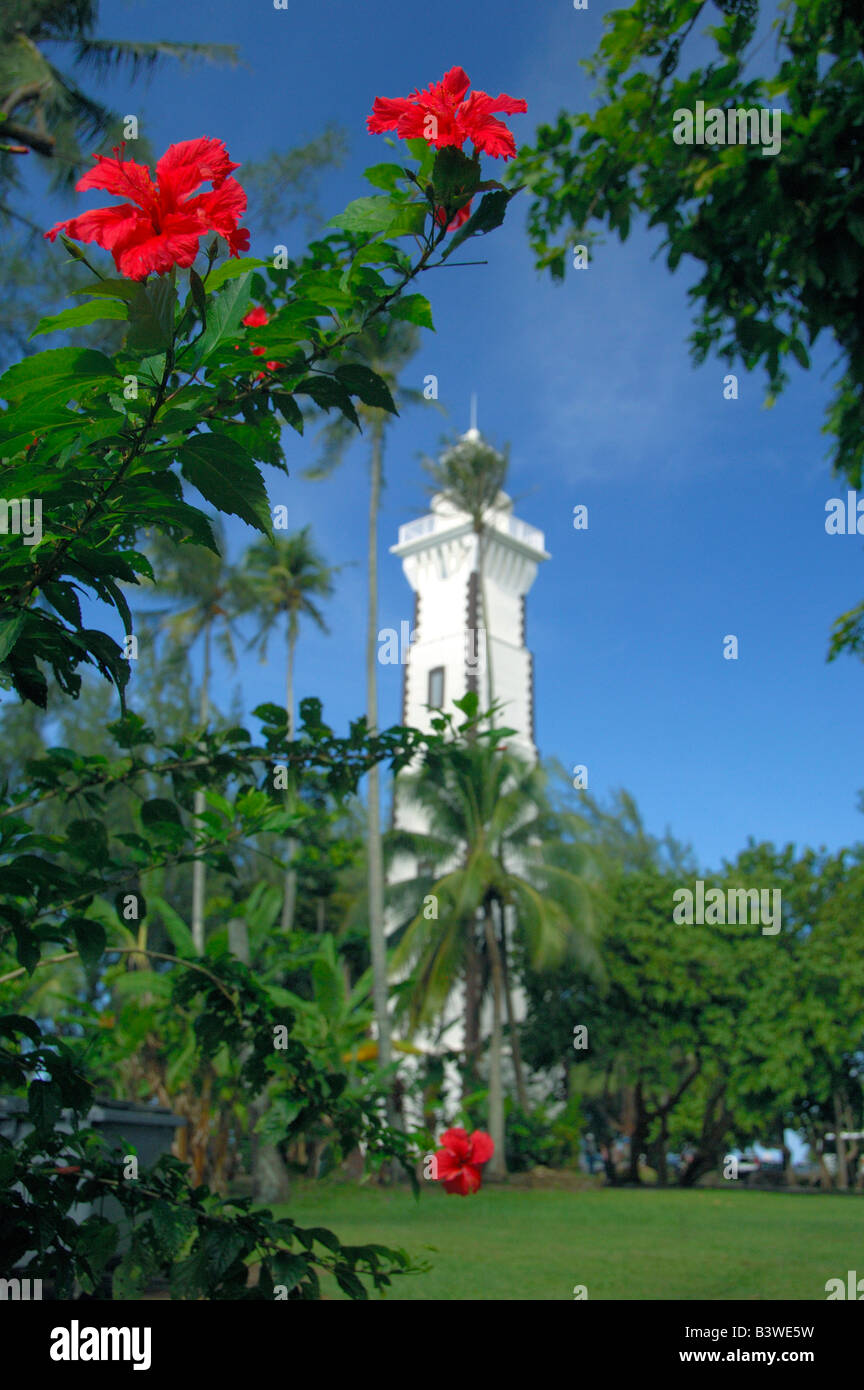 South Pacific, French Polynesia,Tahiti. Hibiscus in front of Venus ...