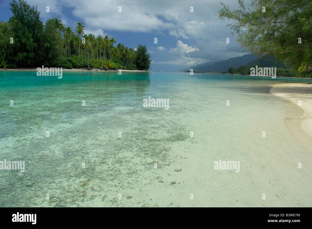 Shallow sand in lagoon of moorea hi-res stock photography and images ...