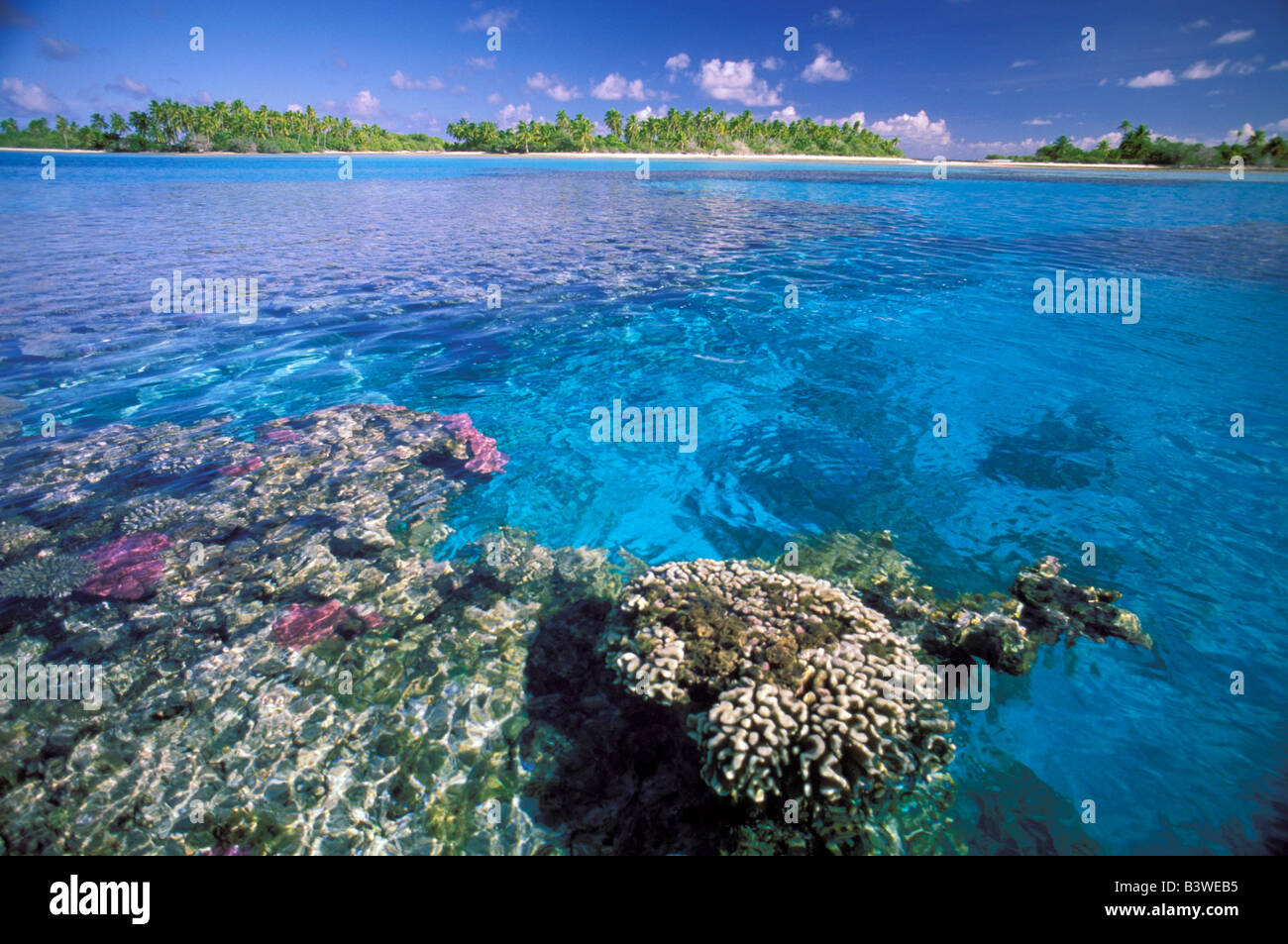 Oceania, French Polynesia, Tuamotus. Raroia atoll, inside lagoon Stock ...