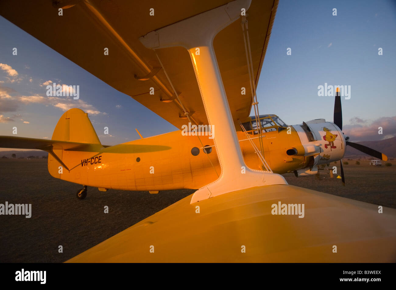 Antonov An-2 biplane Stock Photo - Alamy