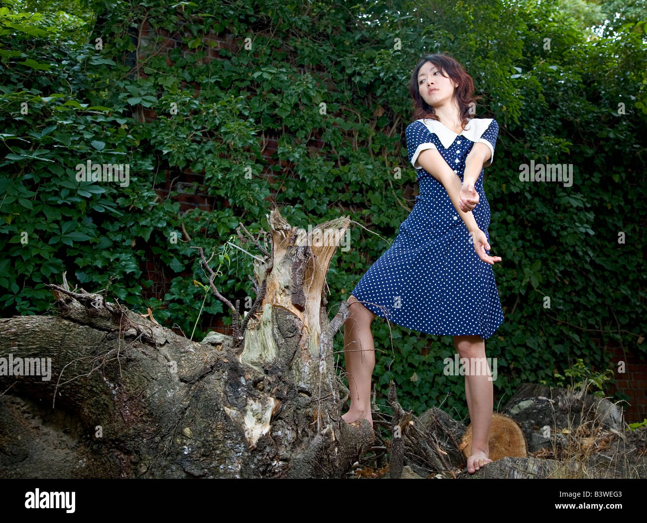 a japanese woman dancing on tree trunks Stock Photo - Alamy