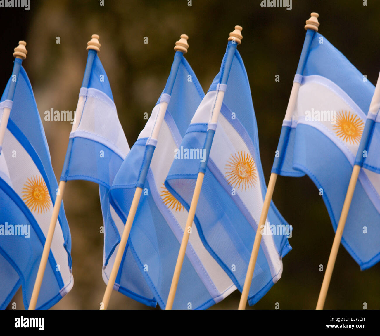 Argentina Flag Stock Photos & Argentina Flag Stock Images - Alamy